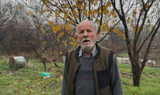 Bursa’da Zirai İlaç Faciası: Milyonlarca Arı Bahçede Can Verdi - BURSA ...